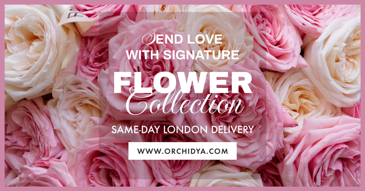 Pastel Pink & Purple Bouquet | Spring Flowers | Same-Day London Delivery