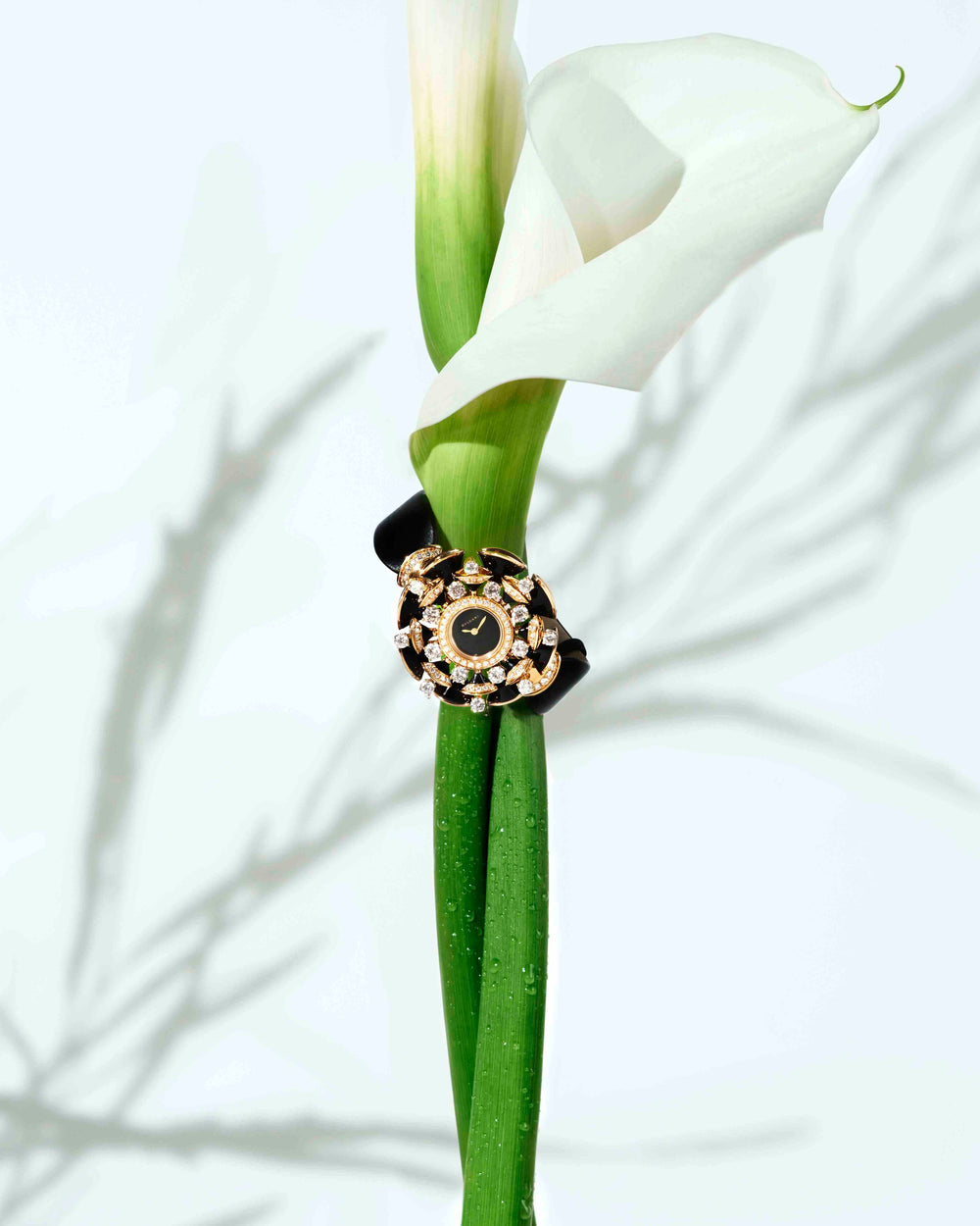Bulgari