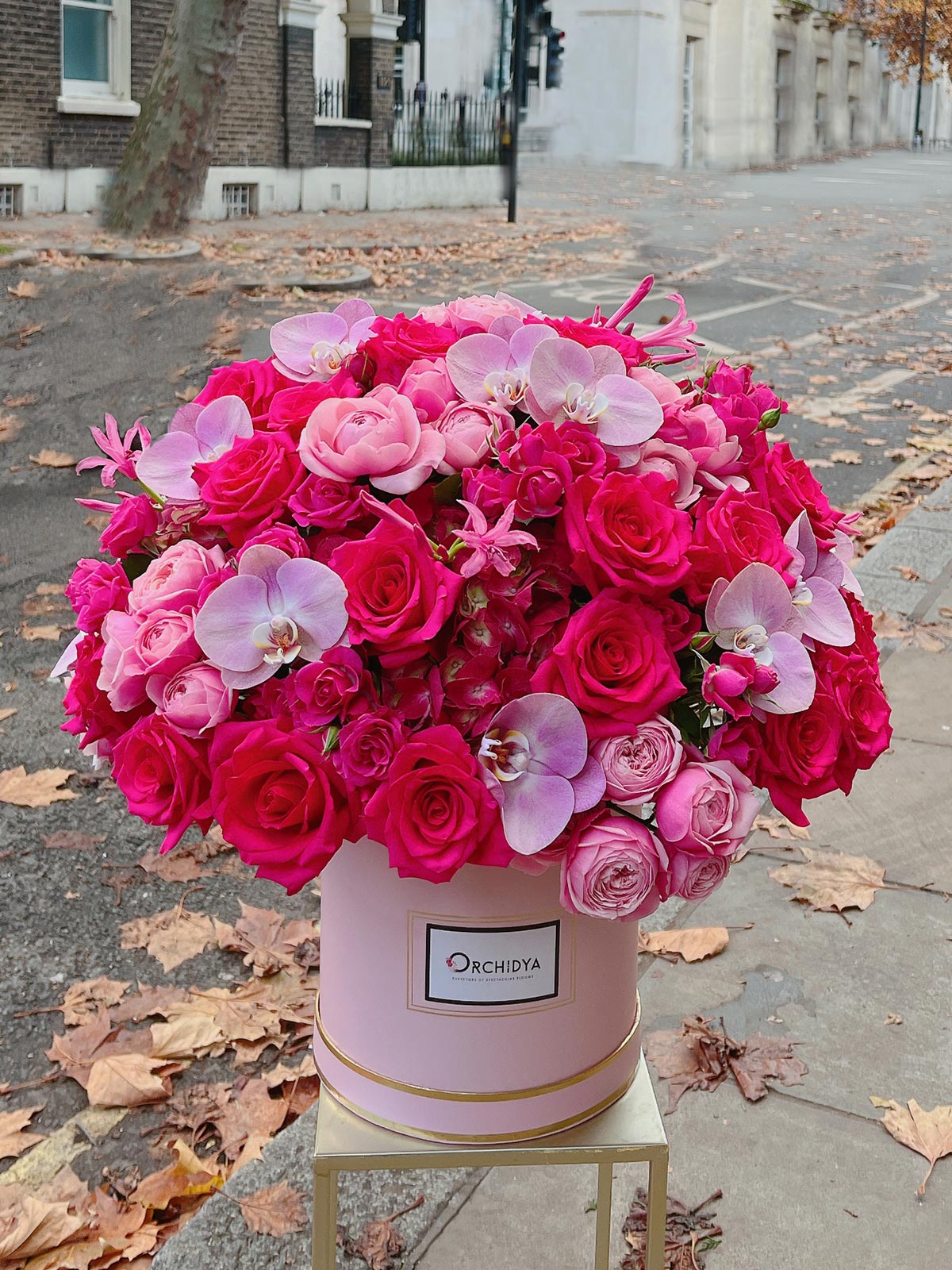 Pink Roses | Orchids | Flower Boxes & Baskets | London Flower Delivery