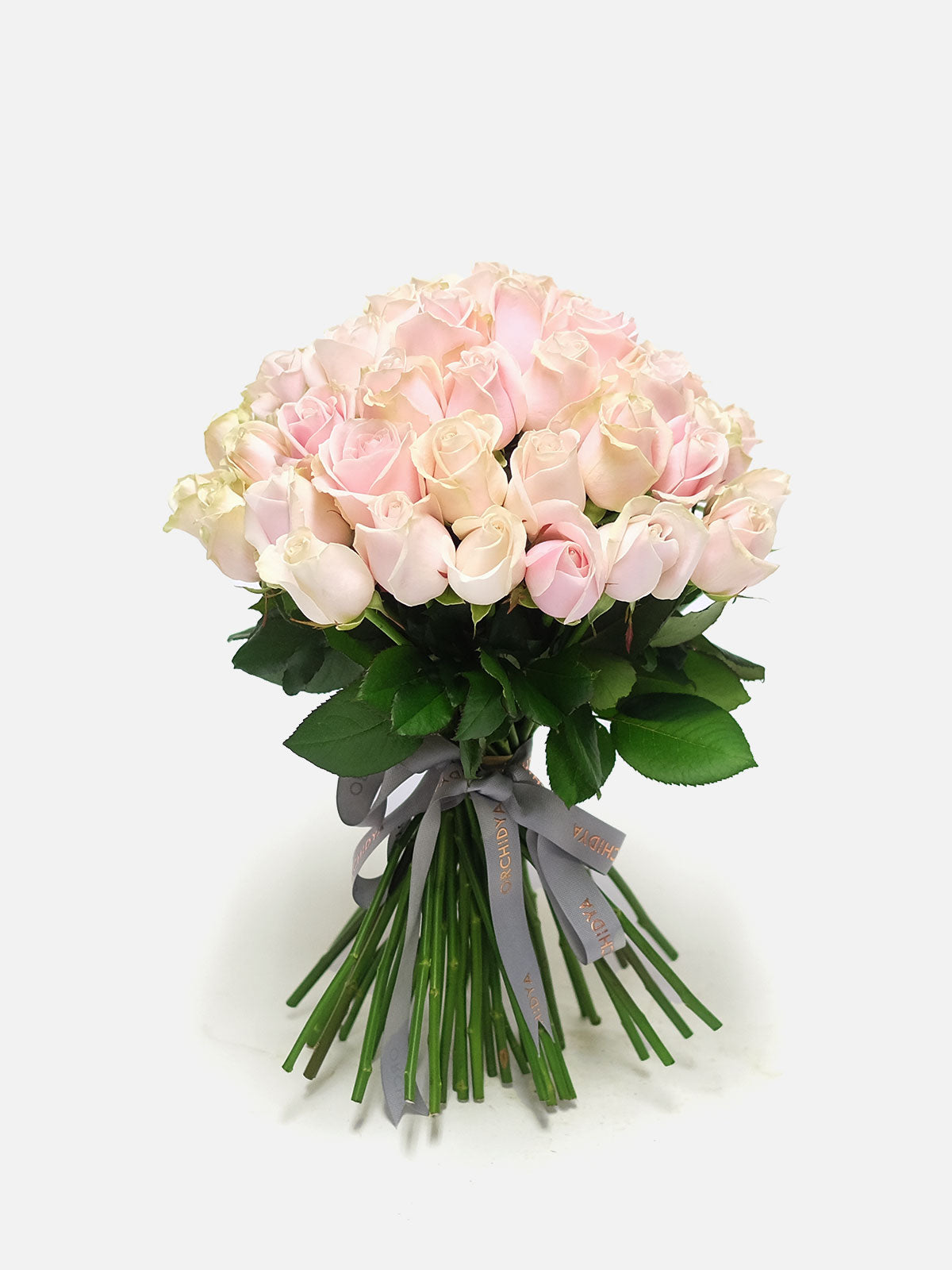Pink Peony Rose | 12 Roses | 99 Roses | 999 Roses | London Flower Delivery
