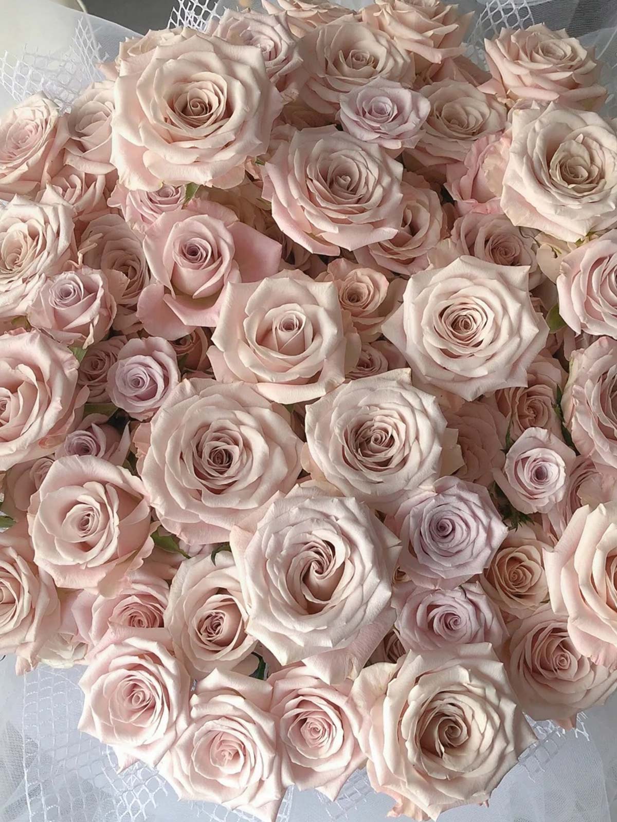 Beige Roses Bouquet | Luxury Roses | London Flower Delivery | Orchidya